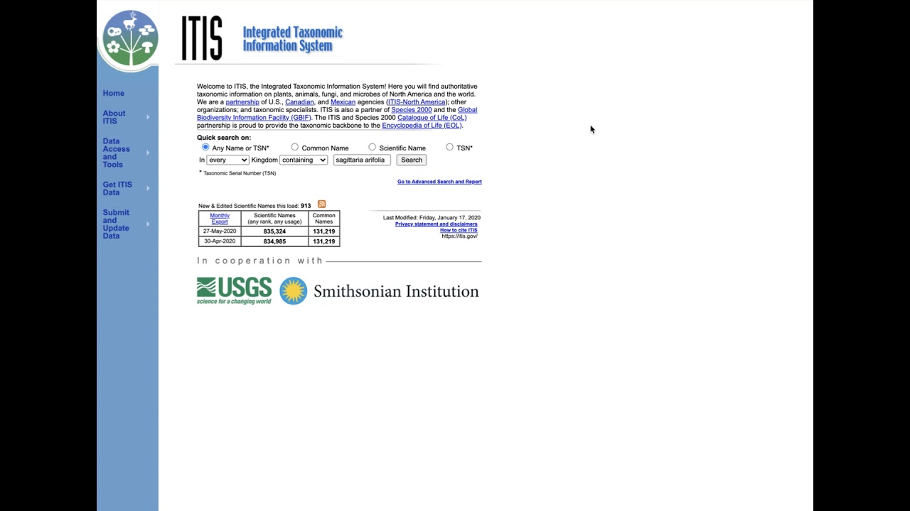 Integrated Taxonomic Information System (ITIS) walkthrough - YouTube