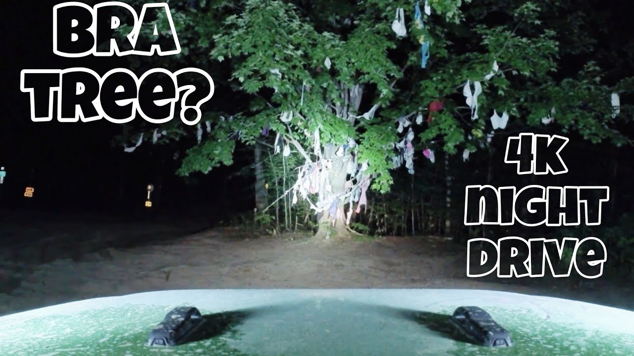 I found THE Bra Tree! - YouTube