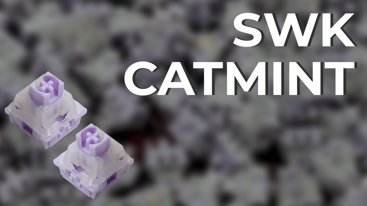 SWK Catmint Switch Review - Indonesia - YouTube