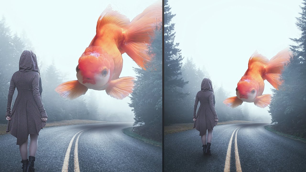 Surreal Fish Photo Manipulation Photoshop Tutorial - YouTube