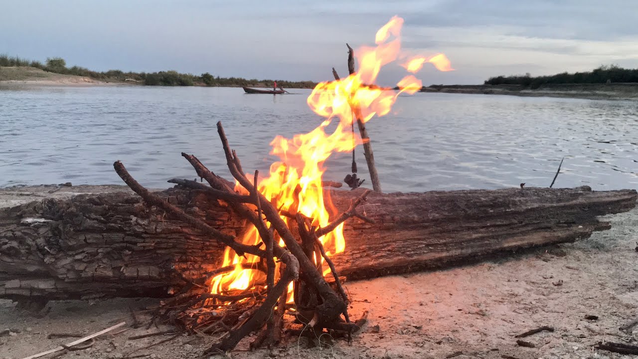 Pesca y Cocina Nocturna, MANDUVI RARO? Sábalo a parrilla. Increíble ...