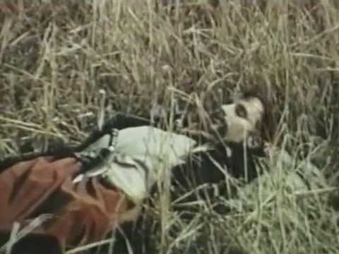 Пропала грамота