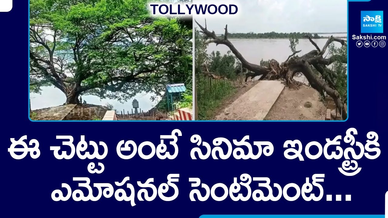 Special Story On Cinema Tree | Rangasthalam | Mooga Manasulu ...