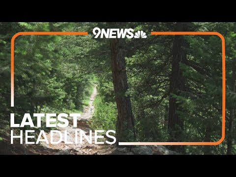 Latest Headlines | Mountain lion encounters reported in Glen Haven area in months before attack