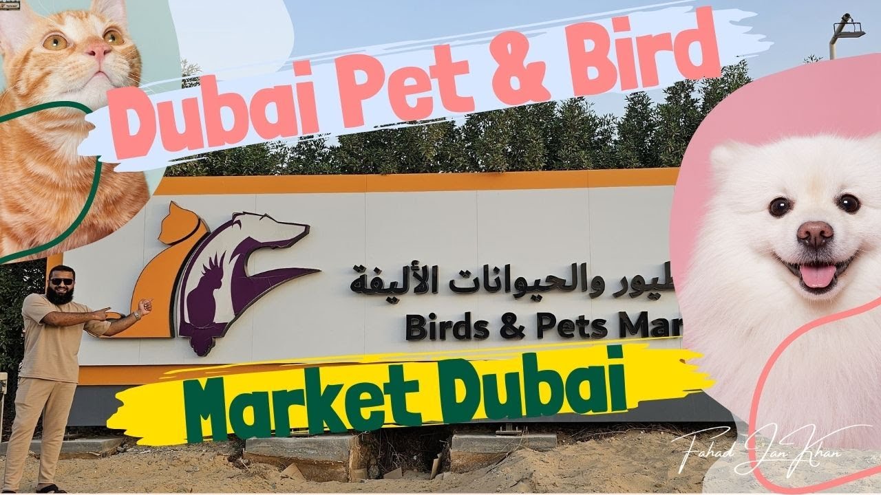 Dubai Exotic Pet Market | All Types of Animals | Birds & Pet Market ...