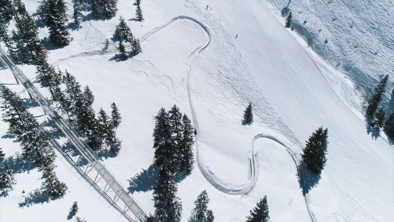 Lauser Sauser - Der Ganzjahres Alpine Coaster - YouTube