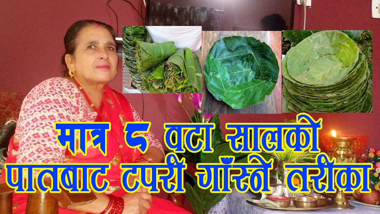 Salko Pata ko Tapari ll सालकाे पातकाे टपरी गाँसाै‌ मात्र ८ वटा पातबाट ...