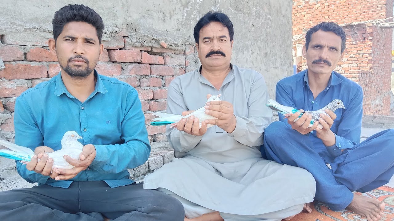 Ustad muslim Baloch ka shagird Imran Mohal or shehzad bhai Kay ...