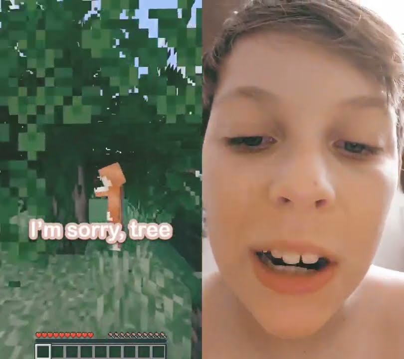 IT LOOKS PRETTY 3 DEMENTIONAL #minecraft #minecraftmemes #gaming #memes ...