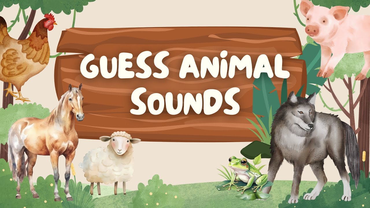 Guess the Animal Sound | Fun Bilingual Learning Game for Kids - YouTube