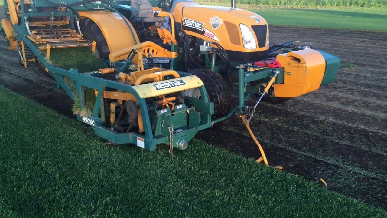 Blue Grass Sod Producers Ltd harvesting with Brouwer Kesmac Harvester ...