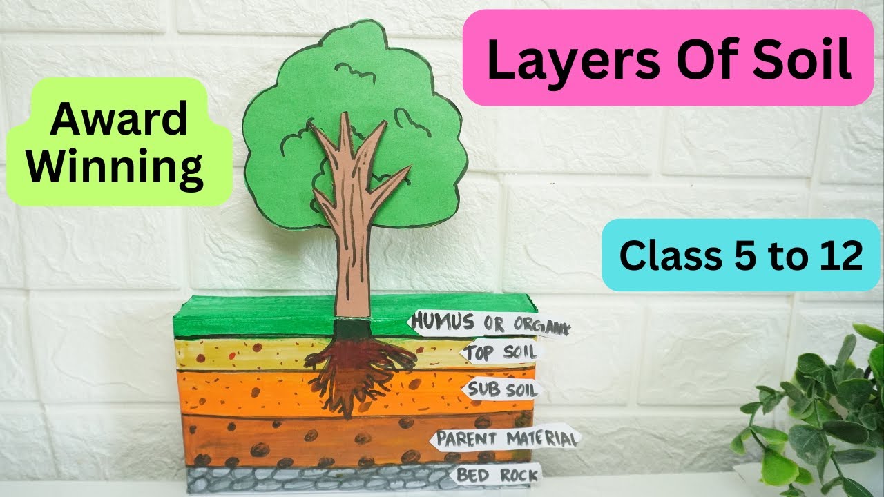 Soil Profile Model | Layers of Soil Project for School | Easy Science ...