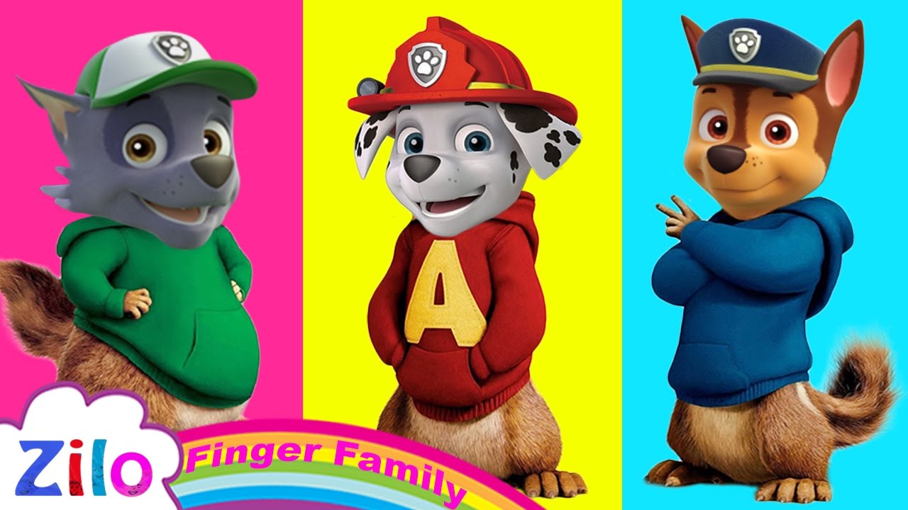 Paw Patrol Transforms Into Chipmunk Finger Family Nursery Rhymes ...