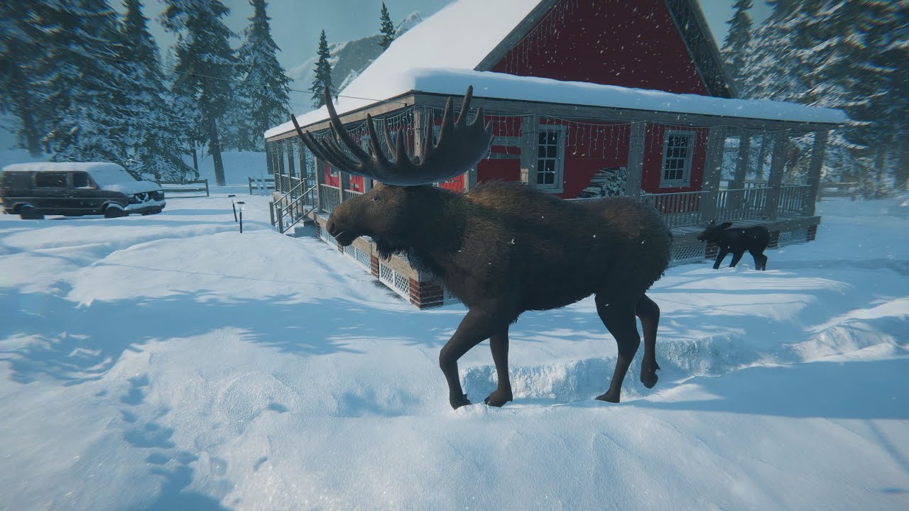 Malbers Moose takes a walk in Weatherade Snow - YouTube