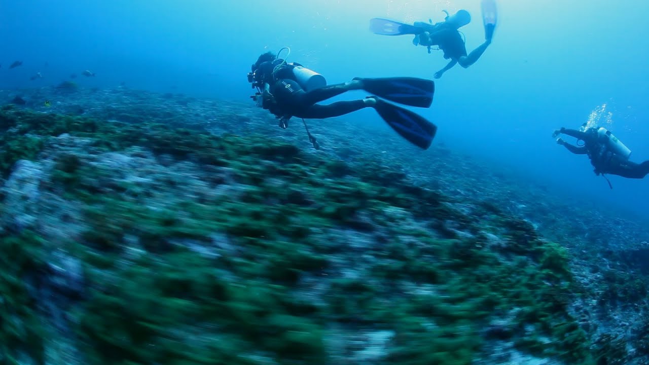 Featured on Discovery Channel, diving in fast current - YouTube