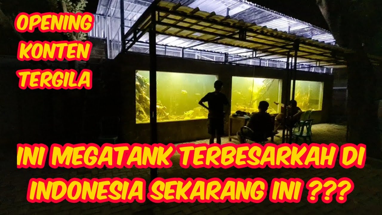MEGATANK TERBESAR SE INDONESIA KAH INI ??? SEBELUM MEGATANK BANG ...