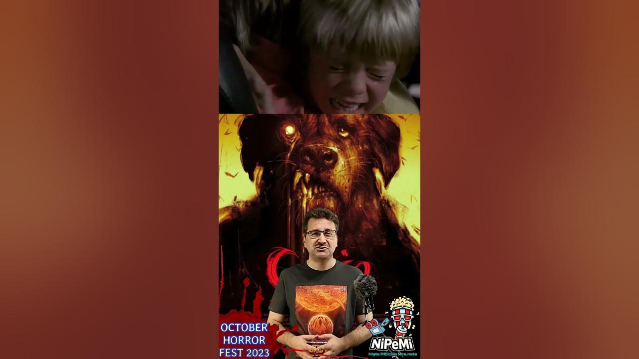 CUJO – Film horror cu un câine turbat, marca Stephen King - YouTube