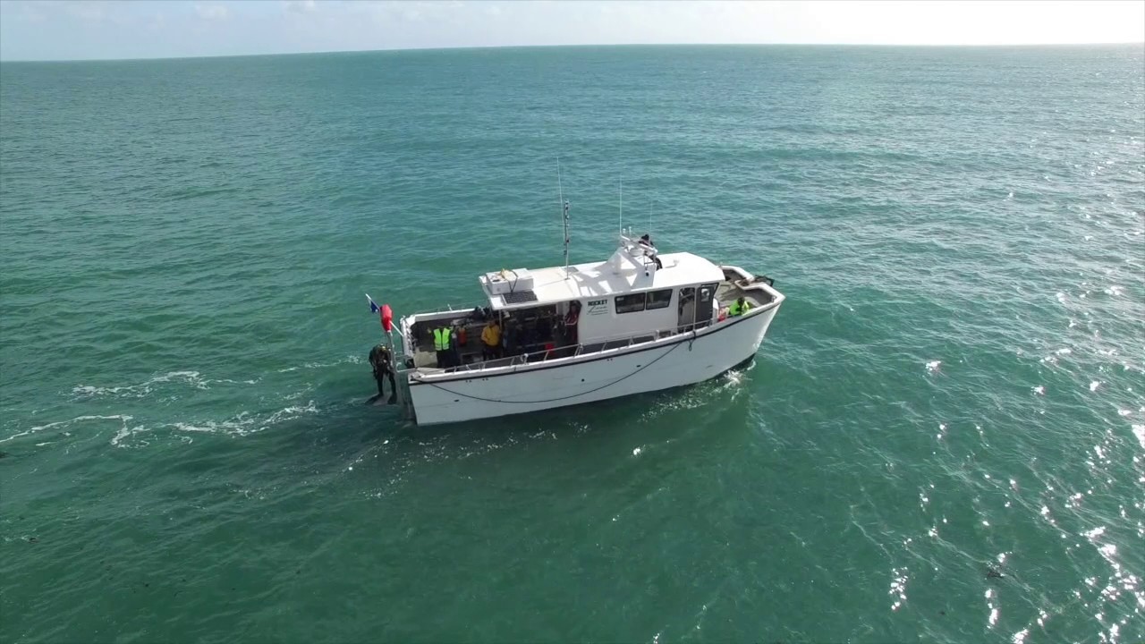 Halsewell seascape - YouTube