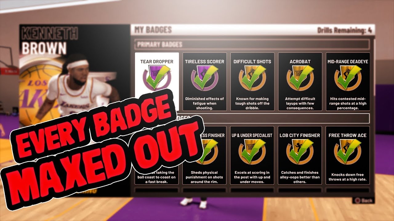 NBA 2K19 I MAXED EVERY BADGE FOR THIS ARCHETYPE 93 OVERALL SLASHING ...