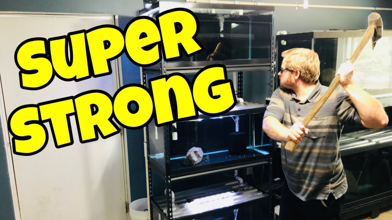 THESE RACKS ARE UNBREAKABLE - YouTube