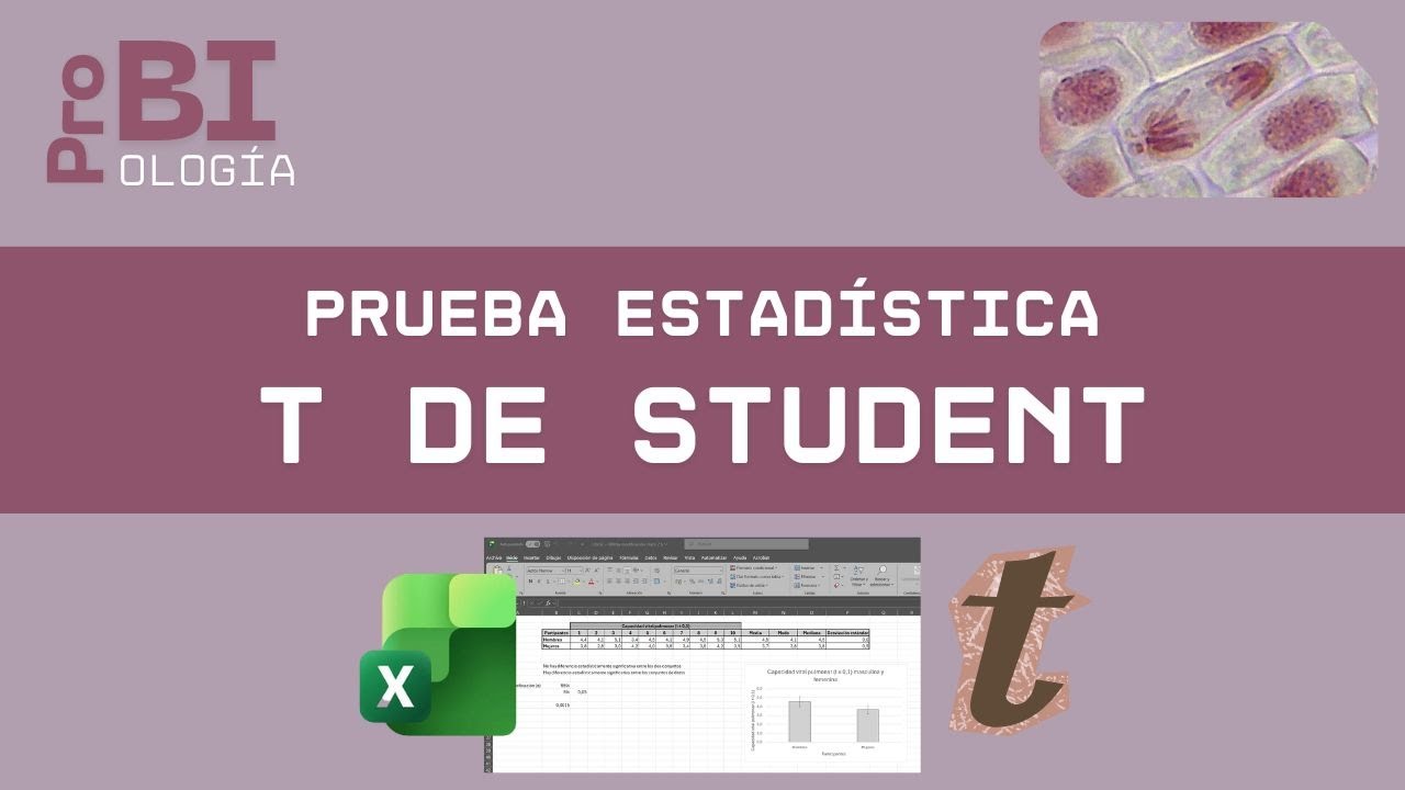 PRUEBA ESTADÍSTICA t DE STUDENT. Ejemplo paso a paso en Excel - YouTube