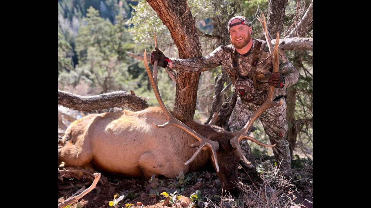 2023 Pahvant Limited Entry Late Season Bull Hunt - Major Success! - YouTube