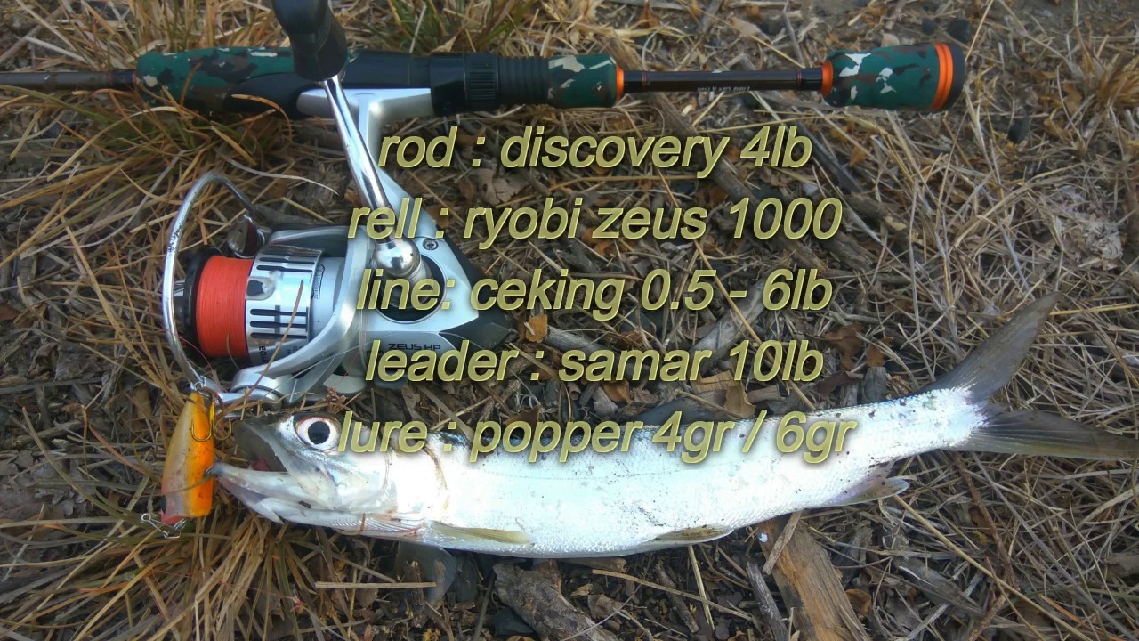mancing ikan payus tambak pakai mini popper - YouTube