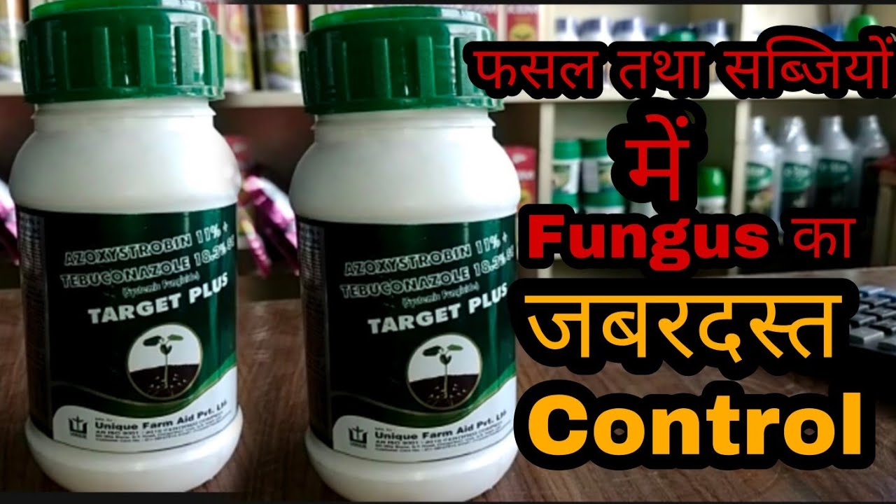 Azoxystrobin 11%+Tebuconazole 18.3% SC,fungicide+Target Plus used to ...