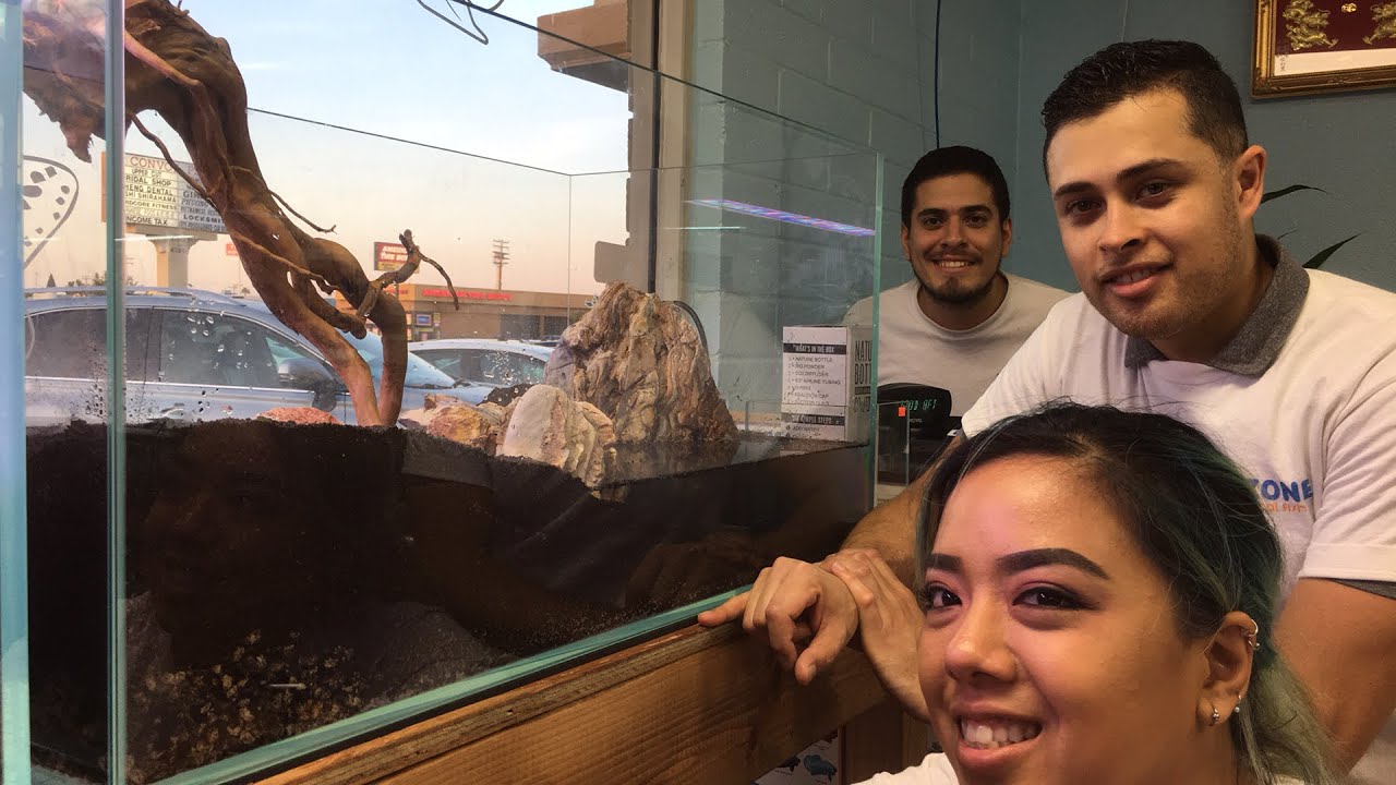 Aquascaping Our UNS 90P Tank: Planting The Second Tank of our Continuum ...