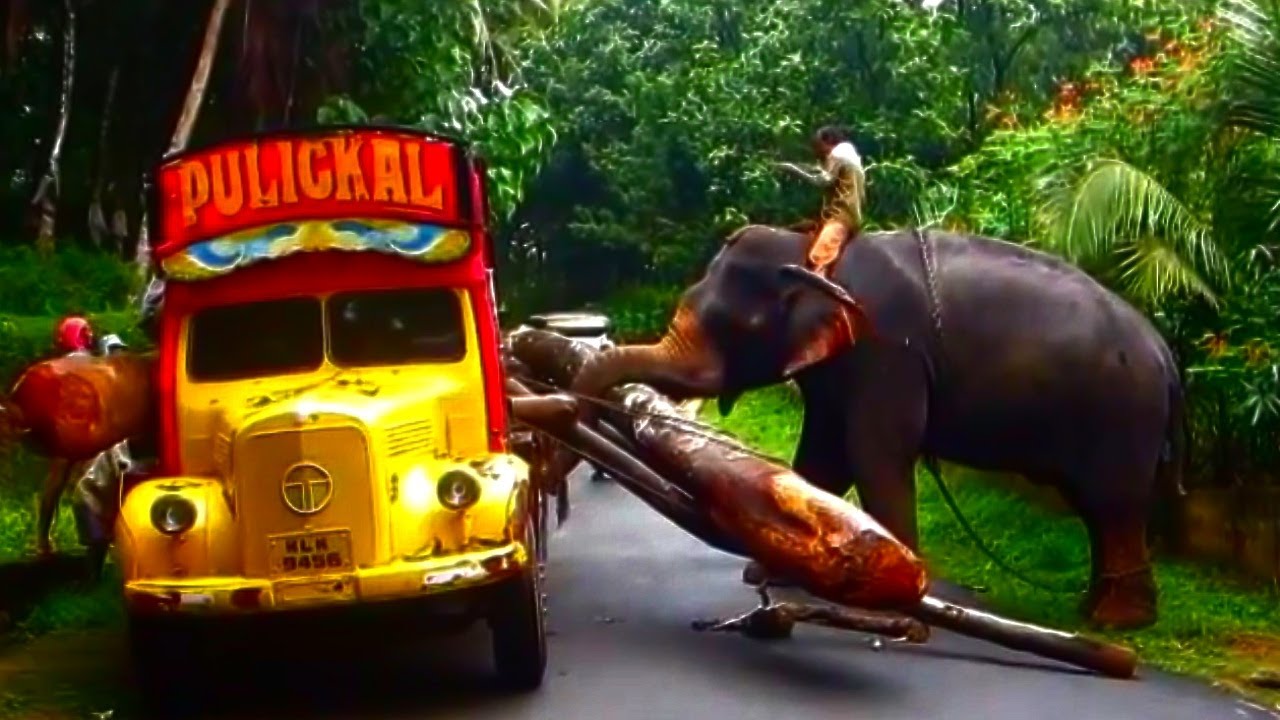 Elephants Loading Heavy Timber Into Truck is this right ???? - YouTube