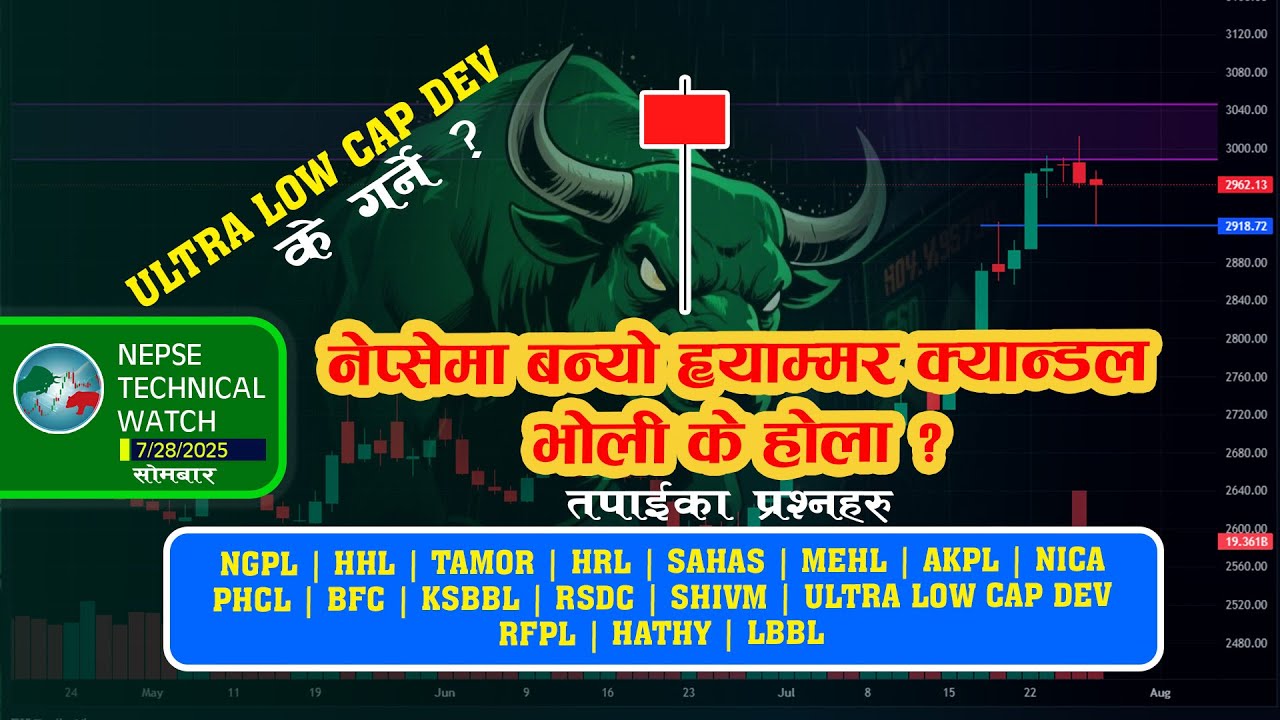Hammer Candle in NEPSE! भोलि बाउन्स कि ब्रेकडाउन? | Nepse Technical ...