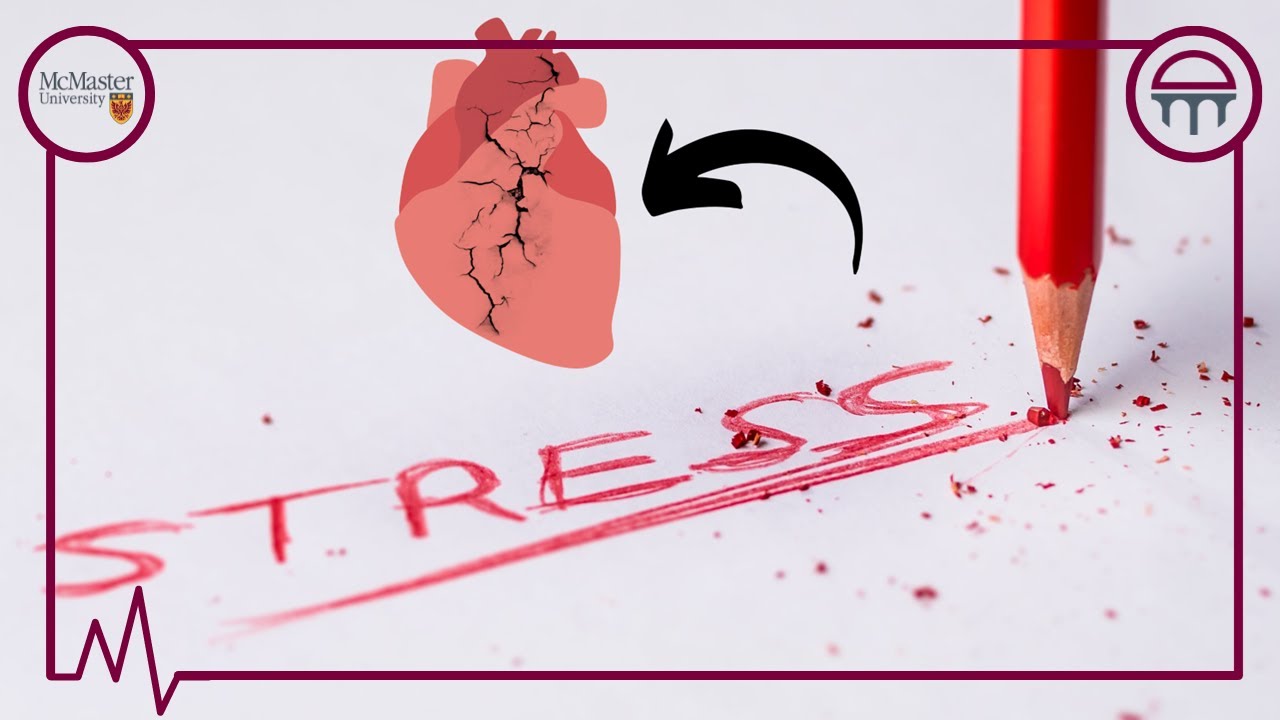 Stress can damage your heart! How Chronic Stress affects Cardiovascular ...