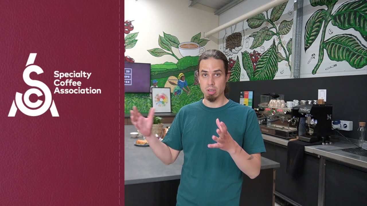 SCA Coffee Skills Program overview | 39 Steps Coffee, London - YouTube