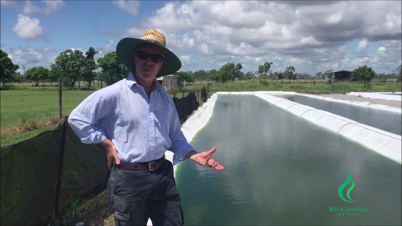 Biogenesis Australia | Biogenesis Chlorella Farm | Australian Chlorella ...
