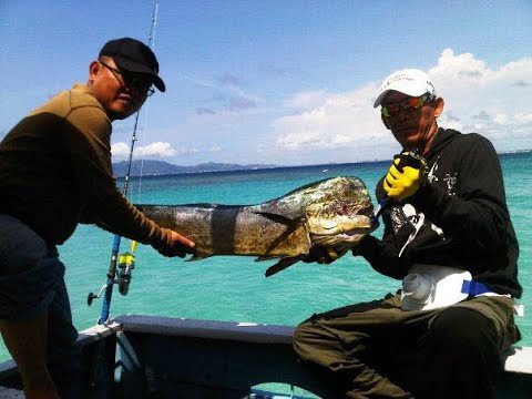 Mancing Lemadang di pulau Sangiang - Anyer Banten - YouTube