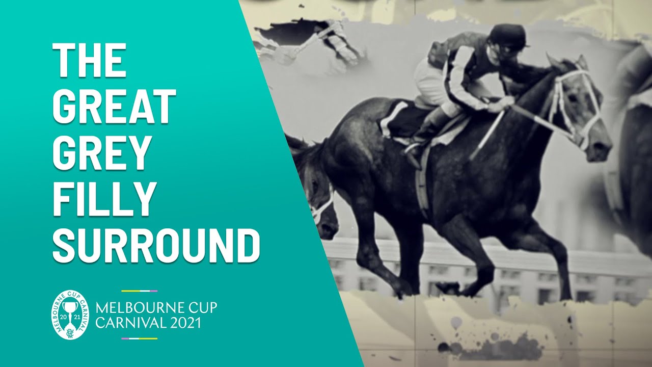 Surround The Great Grey Horse | Melbourne Cup Carnival | Channel 10 ...