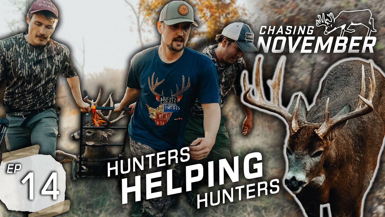 We Found Another Hunter's Public Land Buck AND Found Him! Bucks Chasing ...