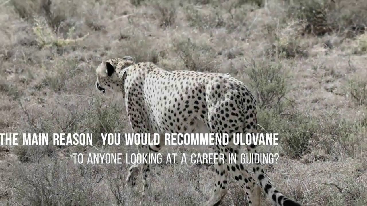 Ulovane Alumni: Adriaan Buitendach - YouTube