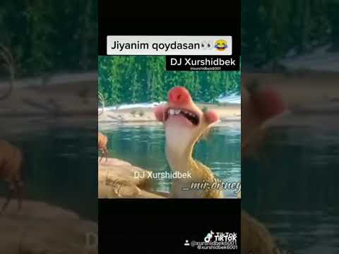 Multi prikol tik tok trend