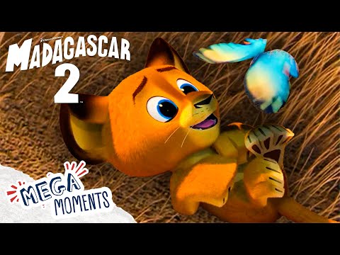Alex and Friends Join the Wild! 🦁 | Madagascar: Escape 2 Africa | Movie Moments | Mega Moments