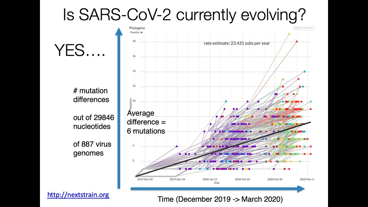 Evolution of SARS-CoV-2 - YouTube