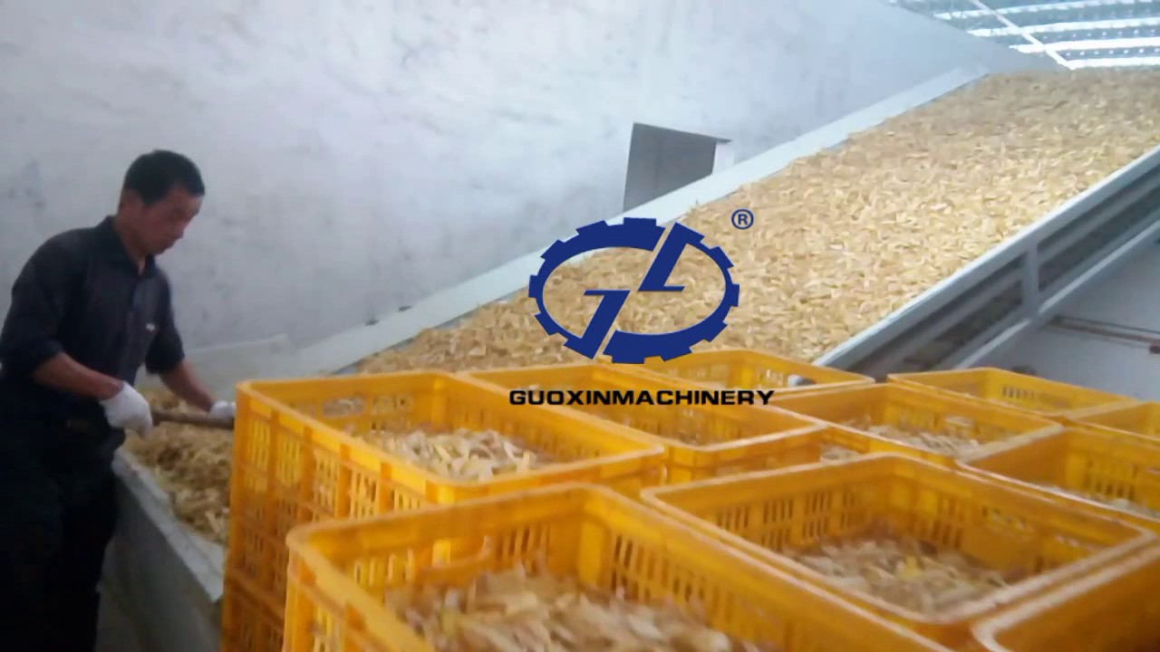 How to dry ginger?garlic?onion?and turmeric?one set drying machine can ...