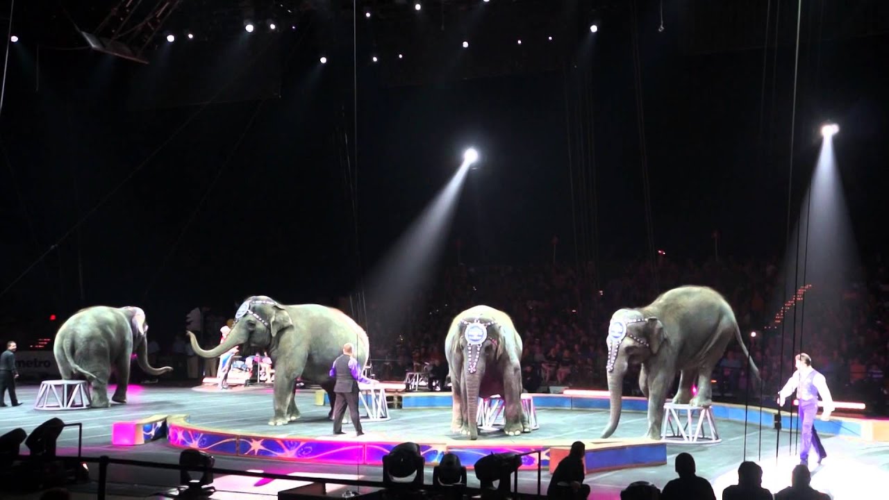 Ringling Bros Circus - Elephants' Final Performance - YouTube