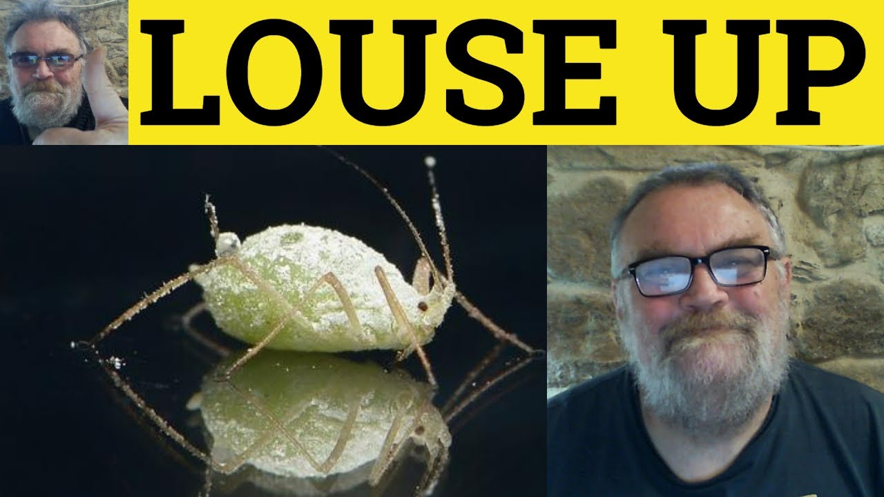🔵 Louse Up Meaning - Louse Up Examples - Louse Up Definition - US Slang ...