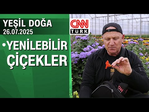 Yenilebilir çiçeklerin hikayesi - Yeşil Doğa 26.07.2025 Cumartesi