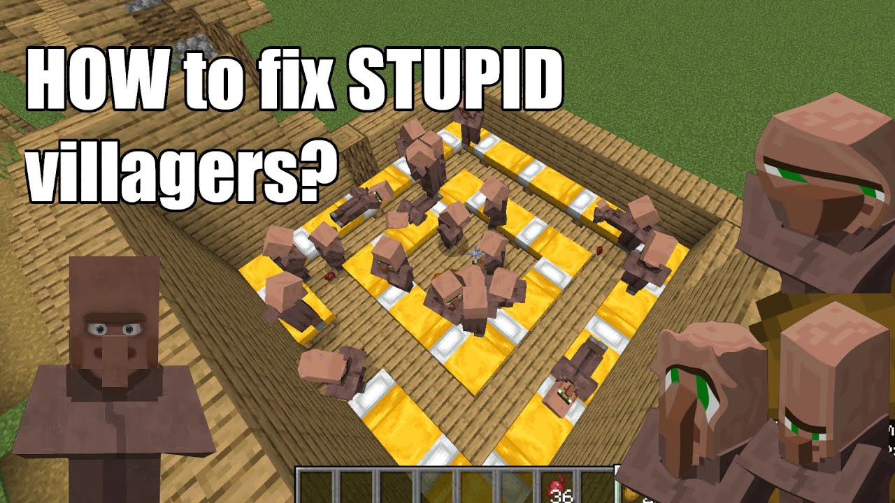 HOW to fix stupid villagers? ---- A Dumb villager doesn't know how to ...