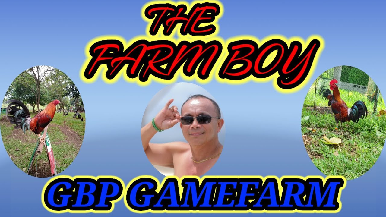 GBP GAMEFARM (@THE FARM BOY - YouTube