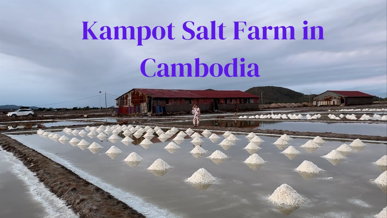 Kampot Salt Farm Famous in Cambodia KH2024(29/04/24.6:22pm) - YouTube