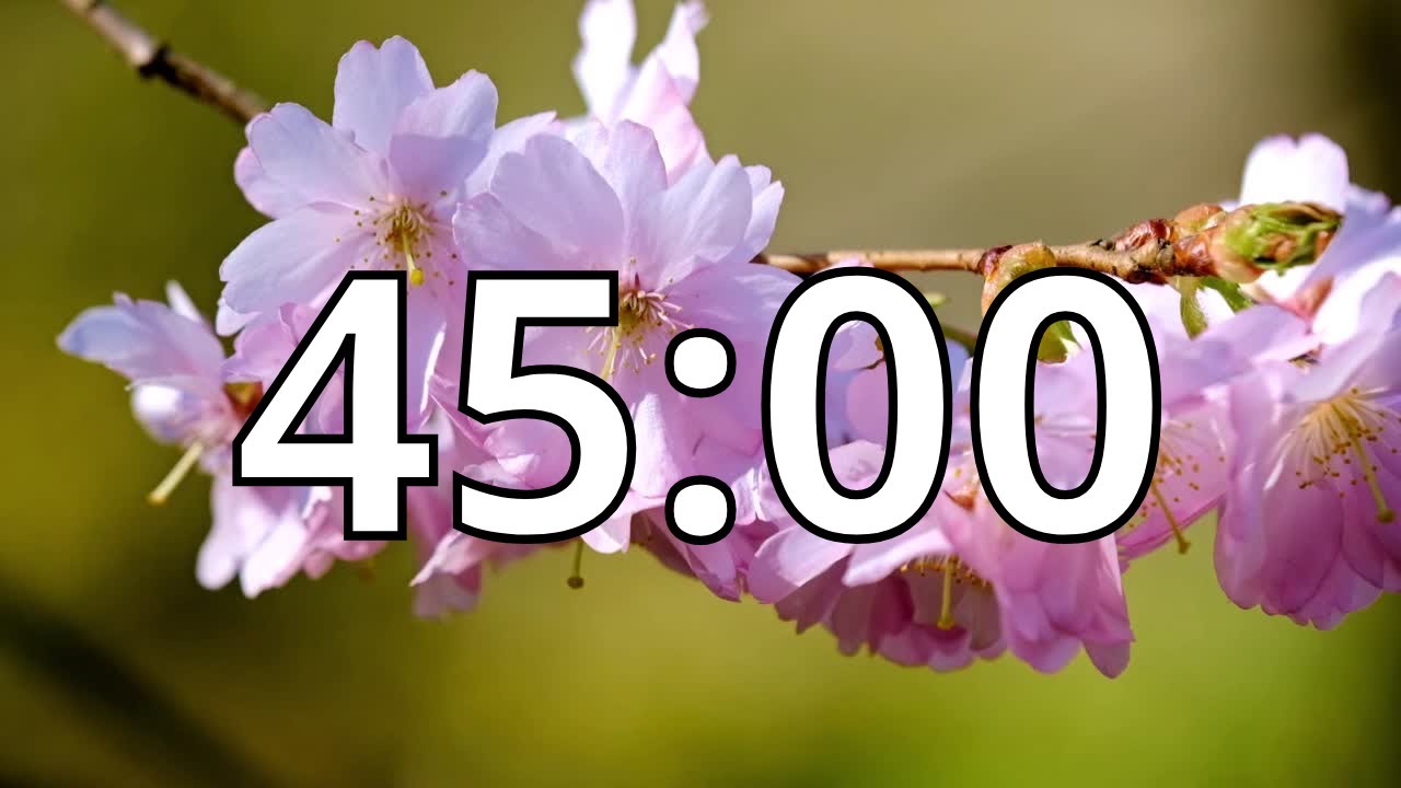 45 Minutes Timer with Music | Cherry Blossom Timer - YouTube