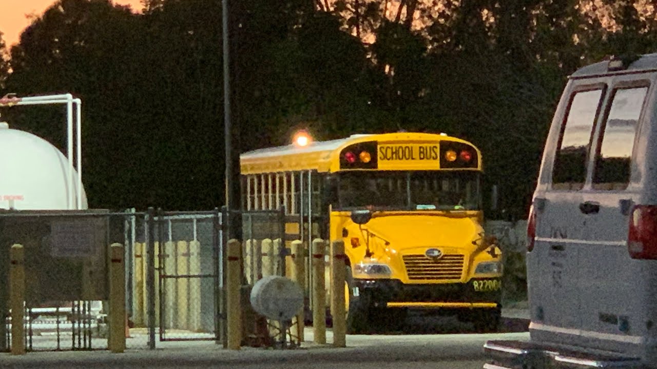 Looking at the old buses at night time 3 - YouTube